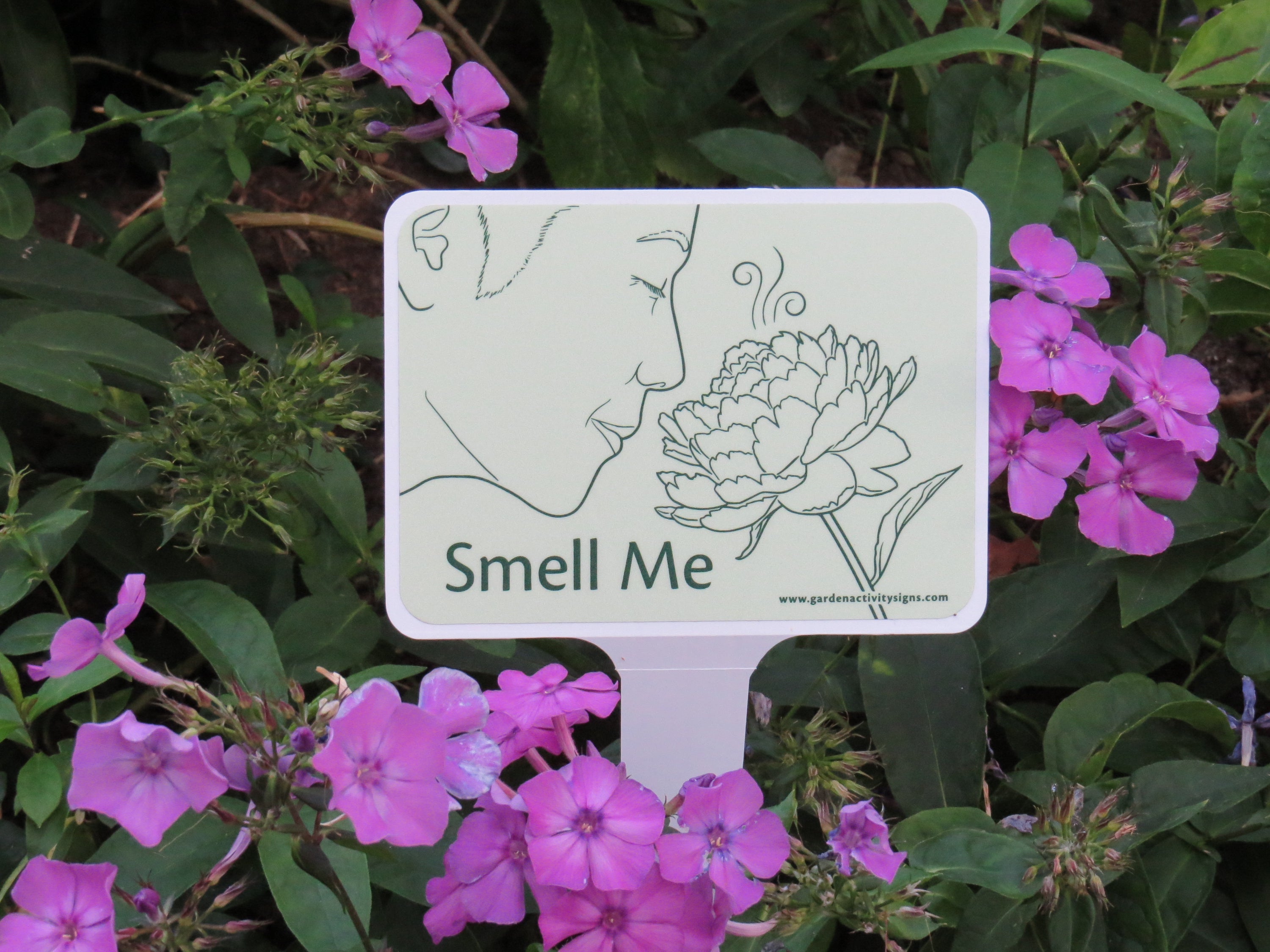 Garden Activity Signs – Thrive With Nature