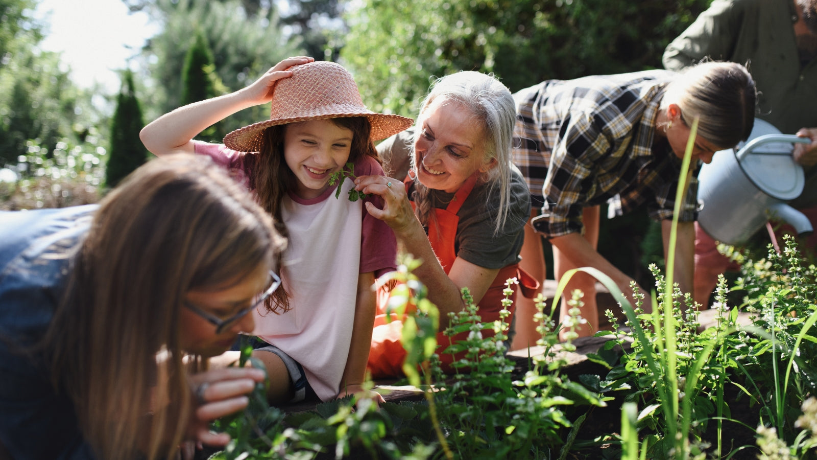 Garden Activity Signs – Thrive With Nature
